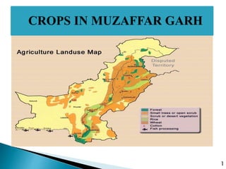 District Muzaffar Garh | PPTX