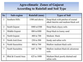 Crops of gujarat | PPTX