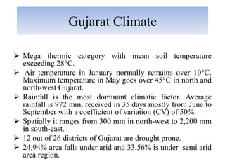 Crops of gujarat | PPTX