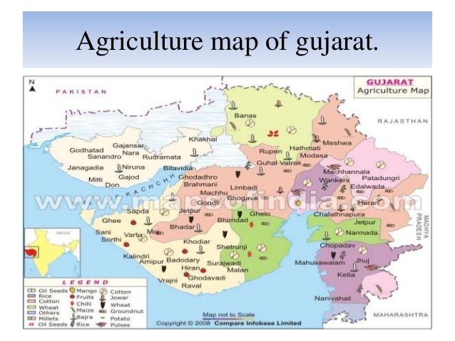 Crops of gujarat