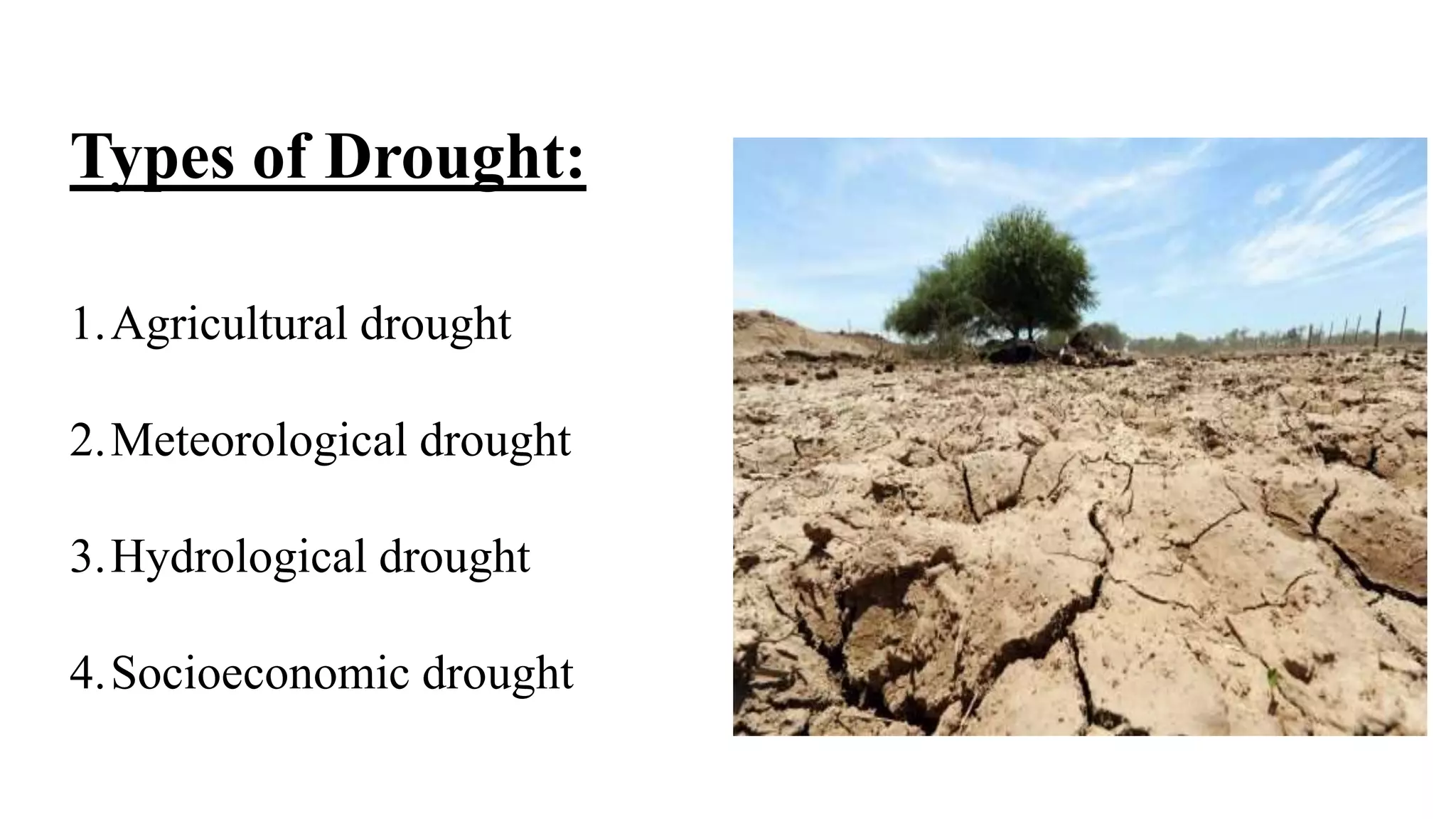 Crops on the basis of drought | PPTX