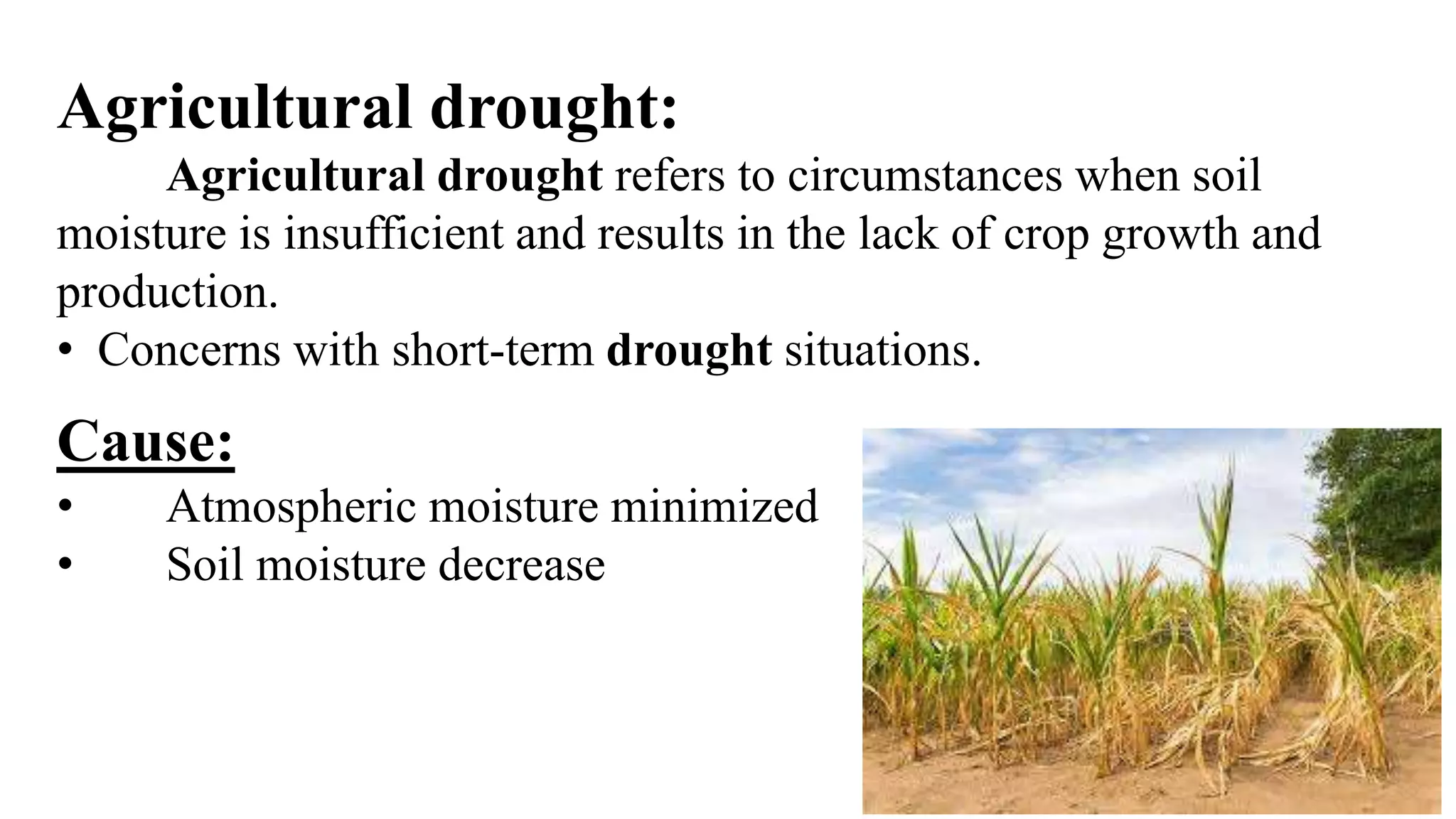 Crops on the basis of drought | PPTX