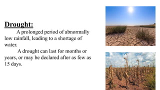 Crops on the basis of drought | PPTX