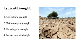 Crops on the basis of drought | PPTX