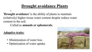 Crops on the basis of drought | PPTX