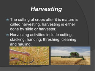 Crops production and management | PPT | Free Download