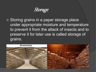 Crops production and management | PPTX
