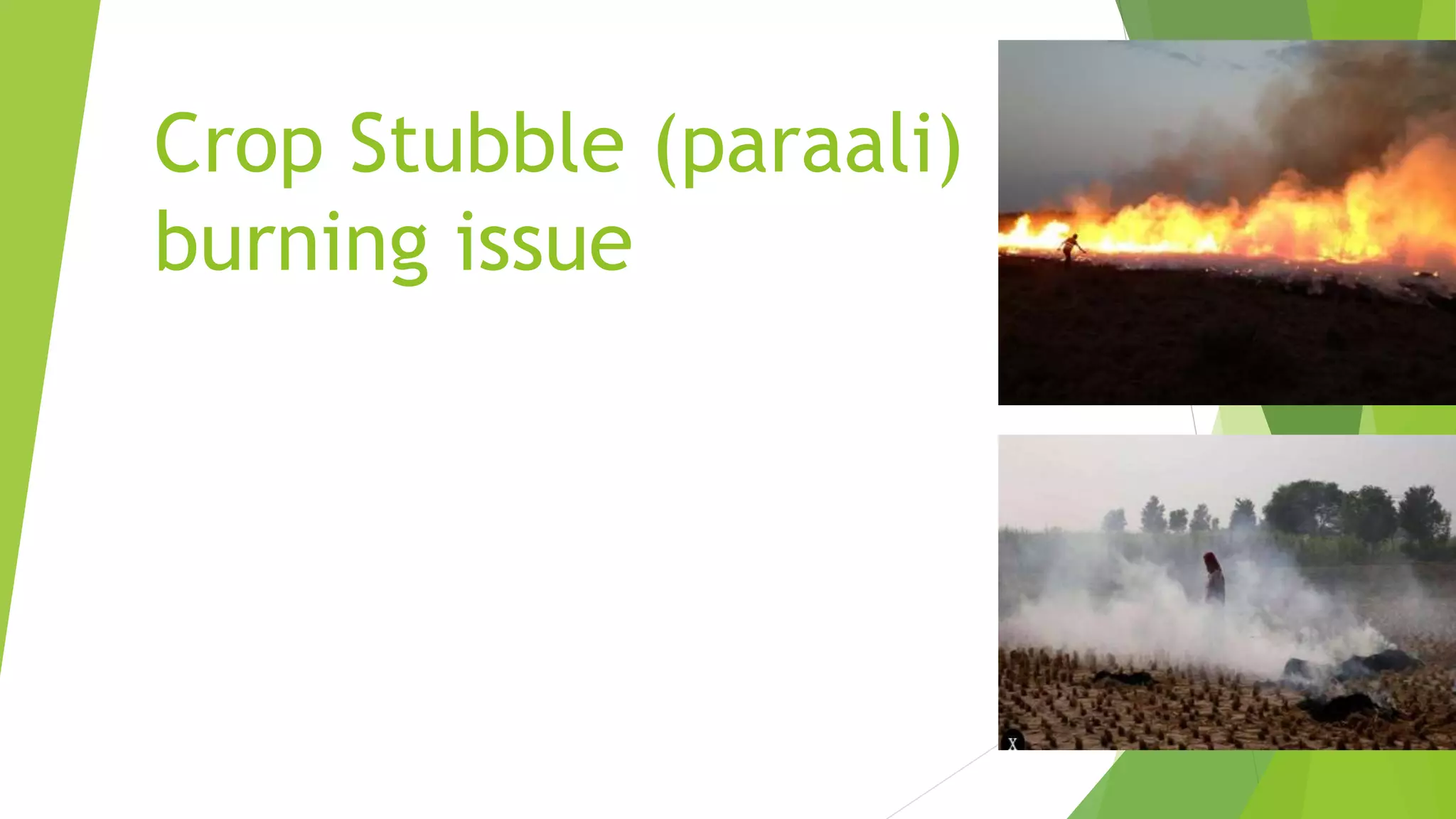 Crop stubble burning issue ppt.pptx
