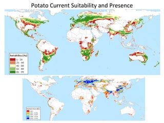 Mer F - Crop suitability analysis | PPT