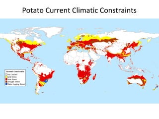 Mer F - Crop suitability analysis | PPT