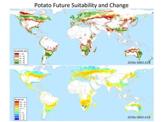 Mer F - Crop suitability analysis | PPT