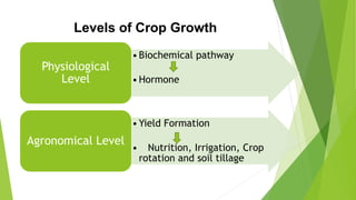 Crop system introduction pptx by yaqoob sultan | PPT
