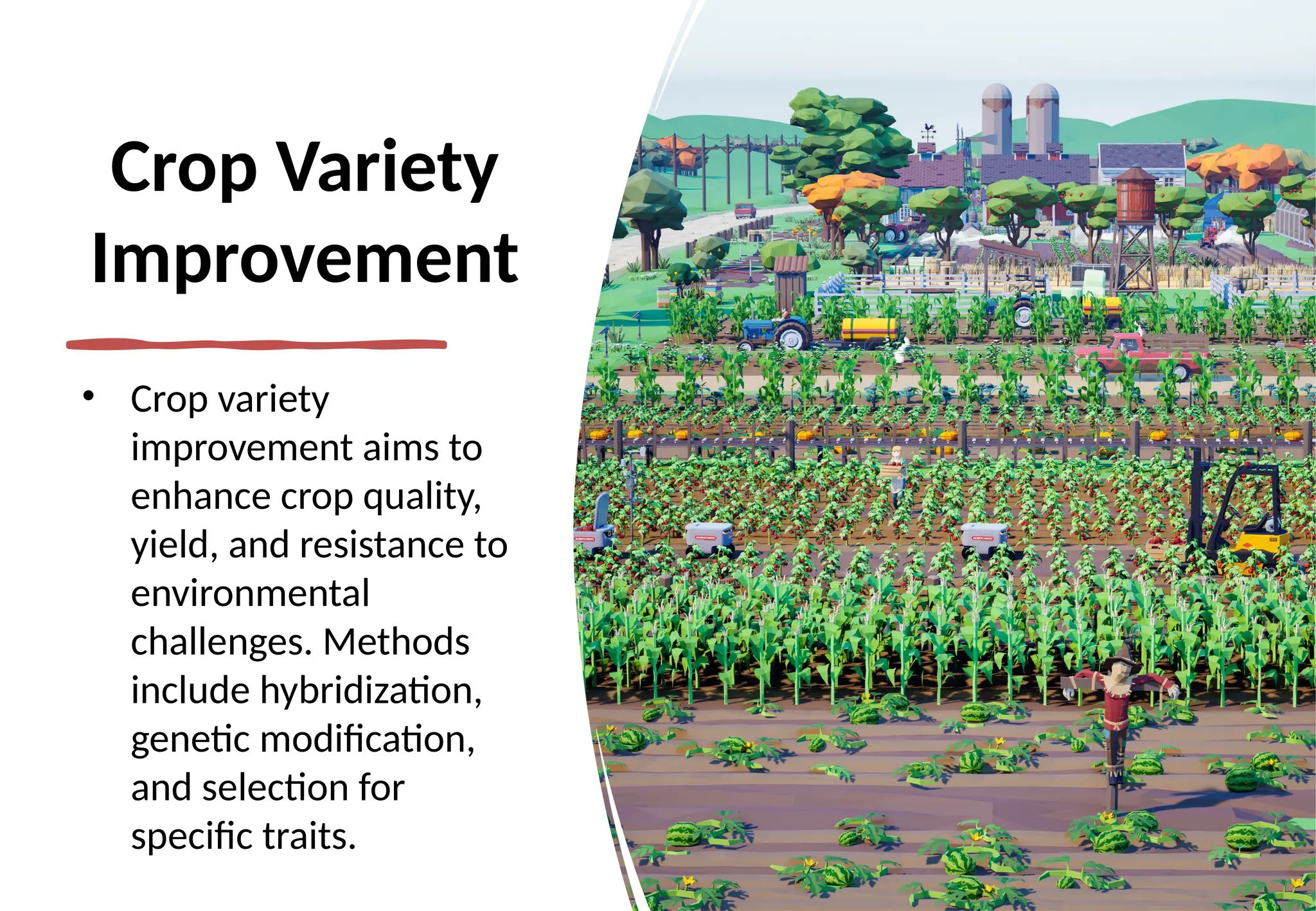 Crop_Variety_Improvement_Presentation.pptx