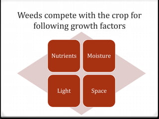 Crop weed competition | PPTX