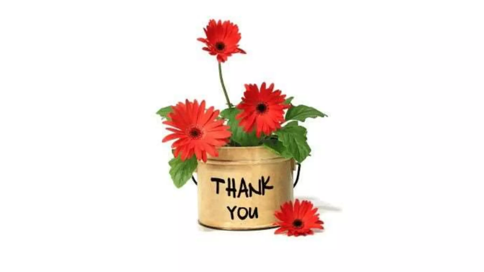 CROP WEED COMPETITION.pptx