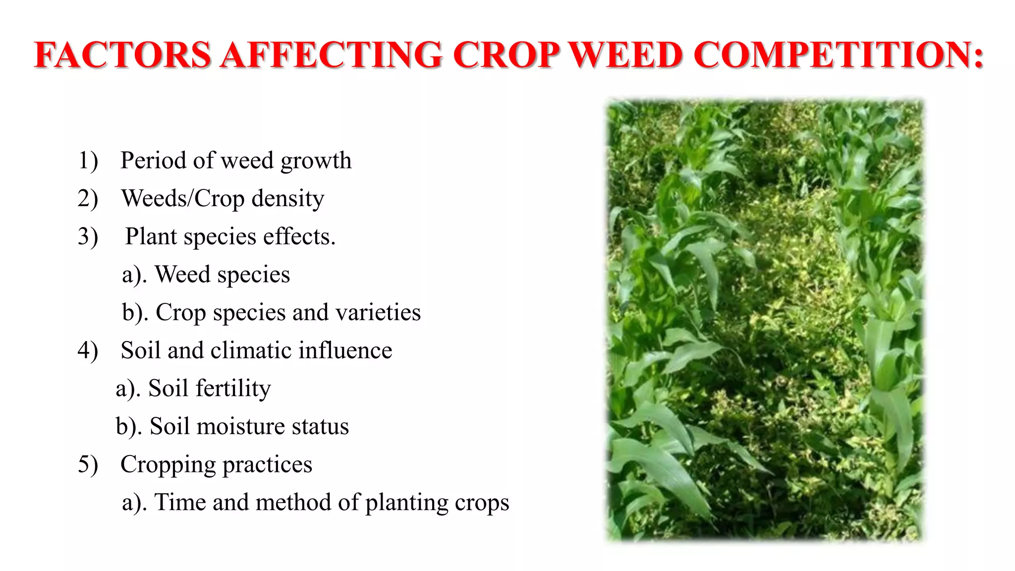 CROP WEED COMPETITION.pptx