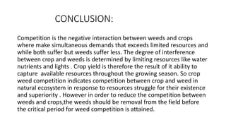 CROP WEED COMPETITION.pptx