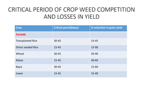 CROP WEED COMPETITION.pptx