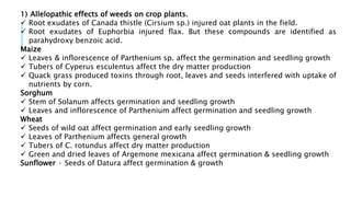 Crop weed competition.pptx