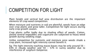 Crop weed competition.pptx