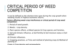 Crop weed competition.pptx