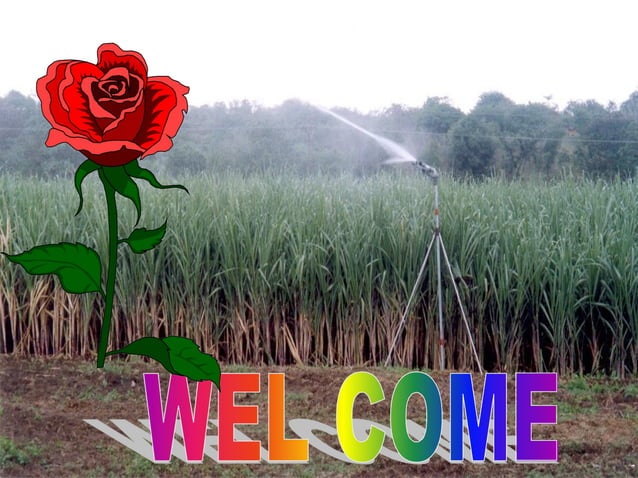 crop weed competition and its methods.pptx | Agriculture | Industries