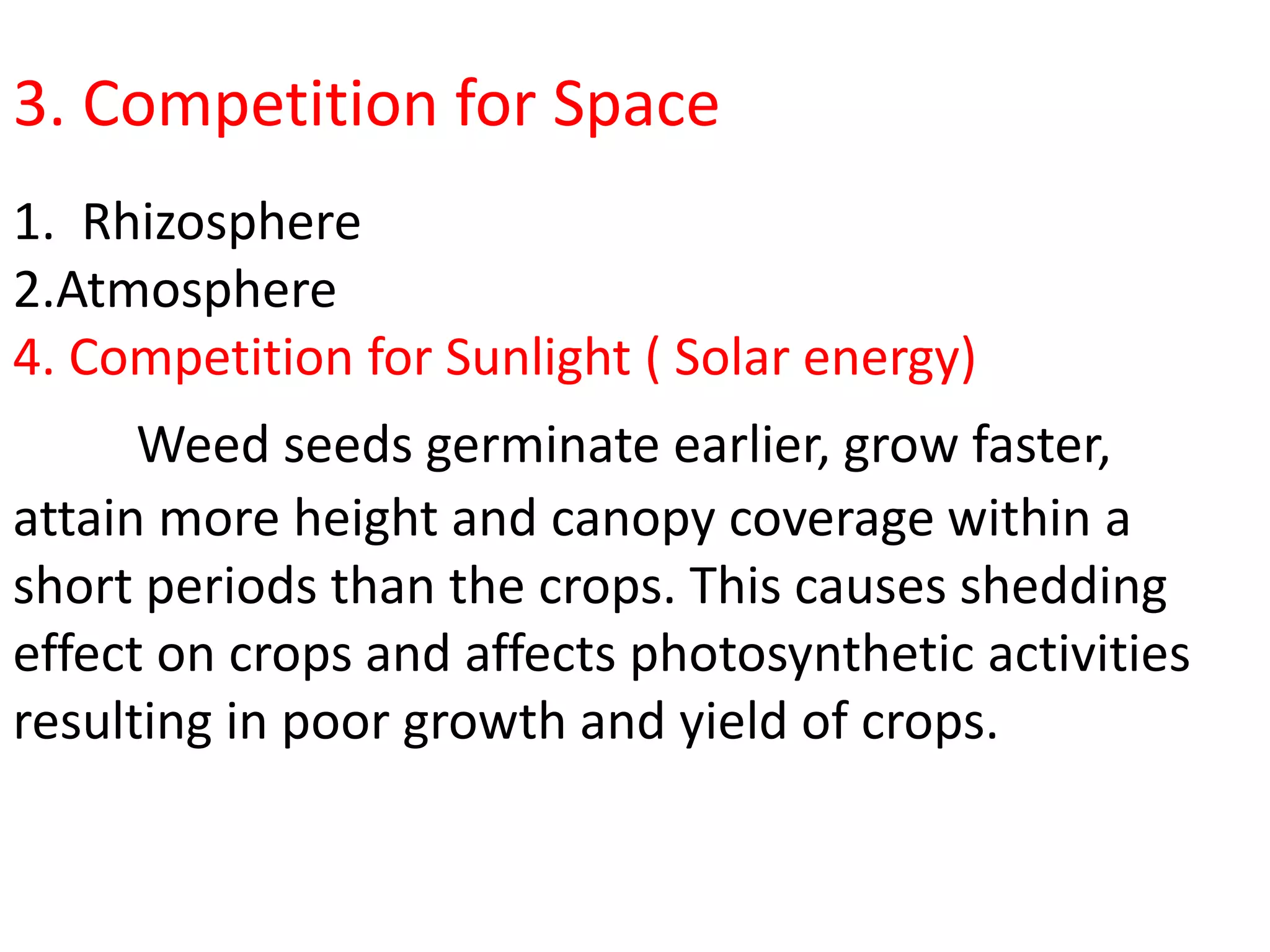 Crop Weed Competition Pdf Pdf