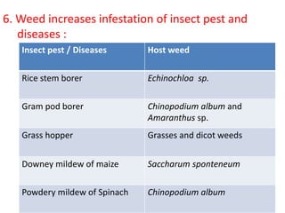 Crop weed competition pdf | PDF