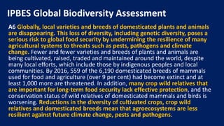 Conservation and Utilization of Crop Wild Relatives for Food Security ...