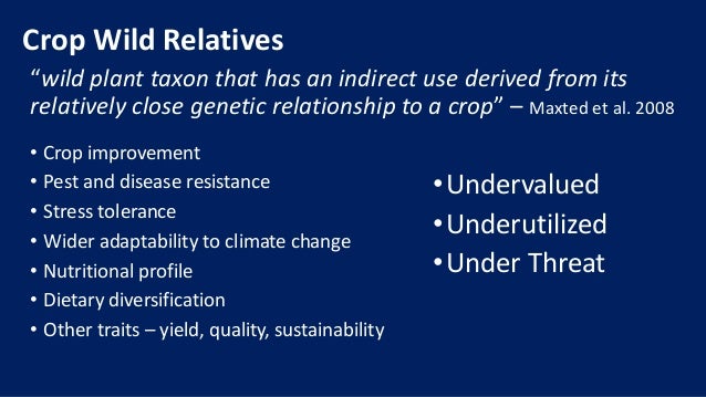 Conservation and Utilization of Crop Wild Relatives for Food Security