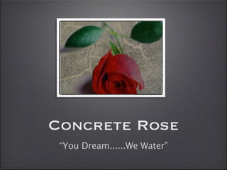 C rose | PPT