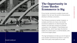 4 Steps Selling Cross-Border to China - Brand Catalyser | PDF