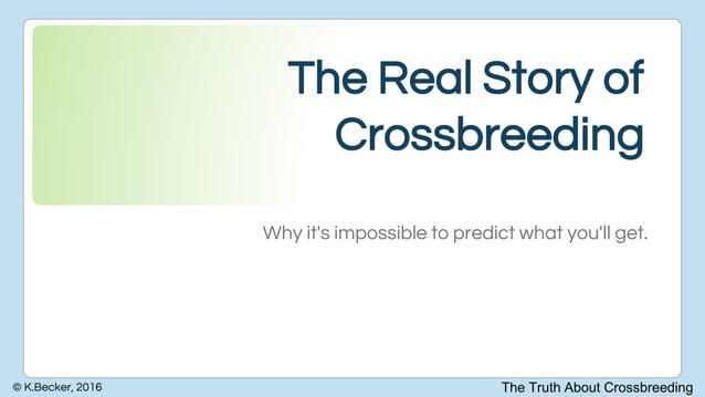 Cross breeding animation | PPT