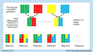 Cross breeding animation | PPTX