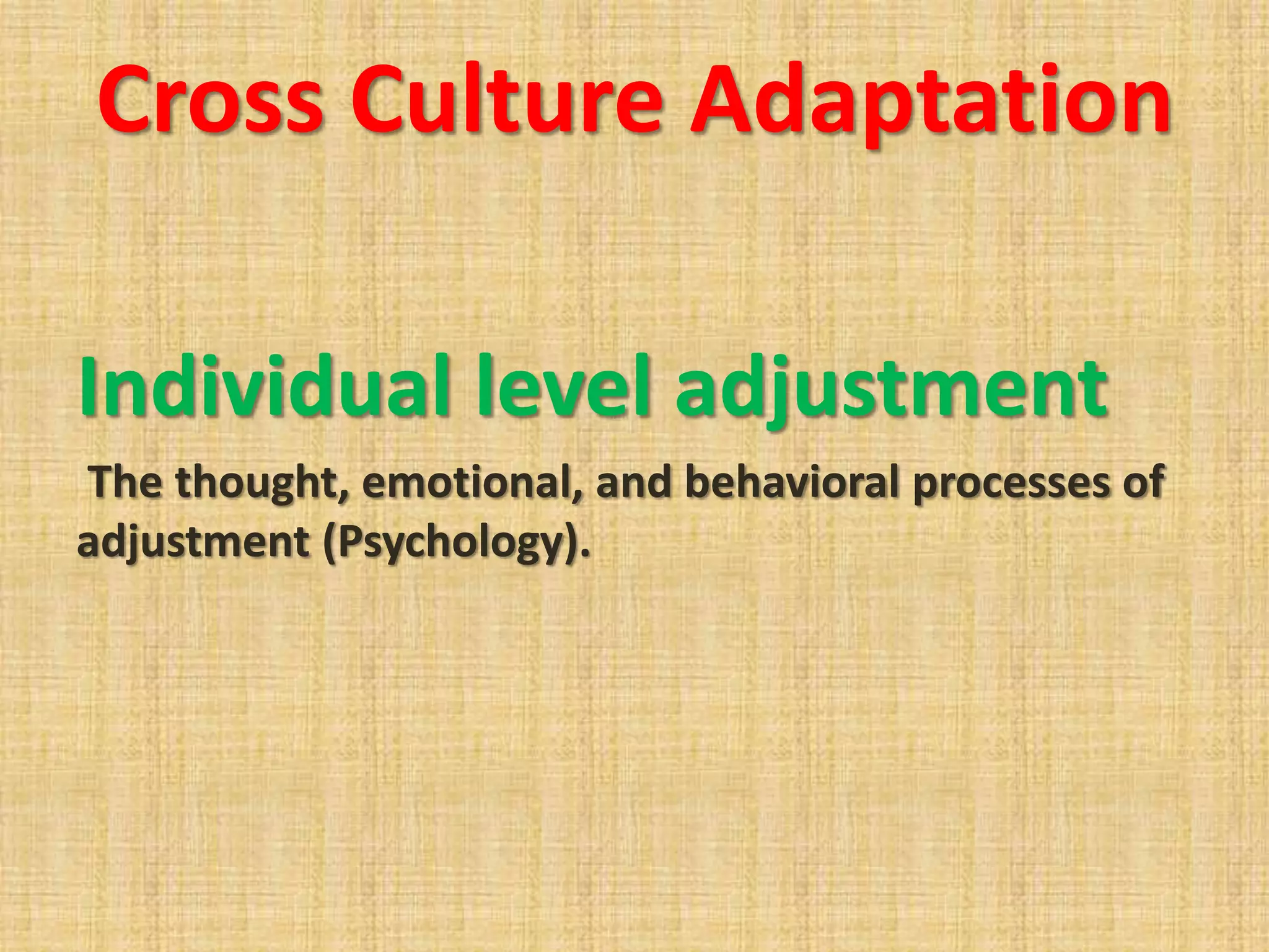 Cross culture Adaptation | PPTX