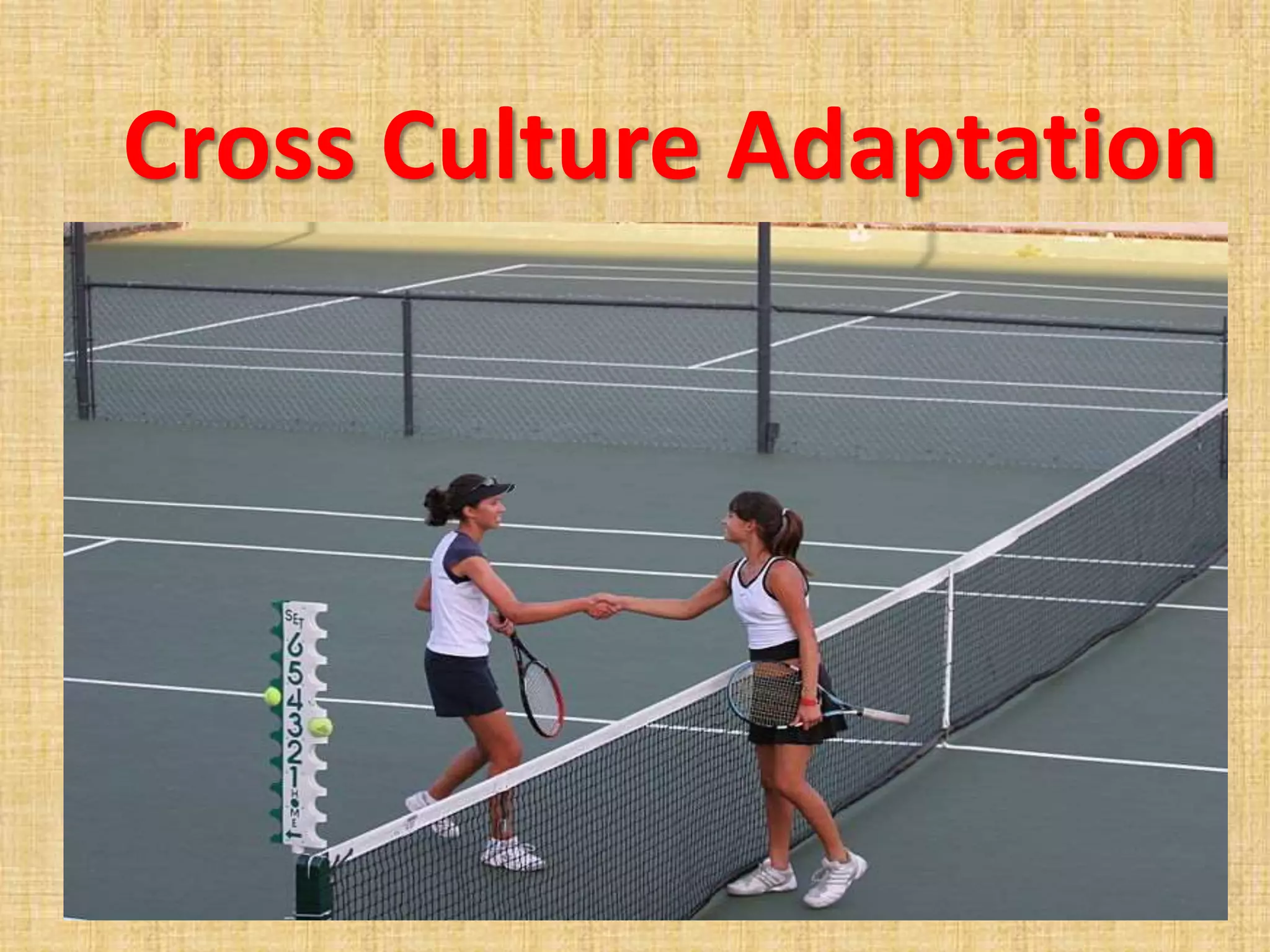 Cross culture Adaptation | PPTX