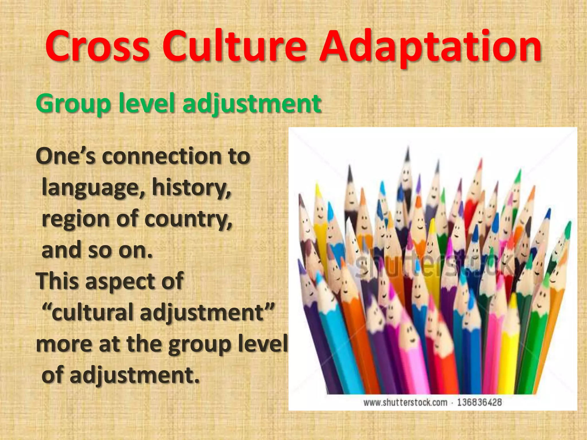 Cross culture Adaptation | PPTX