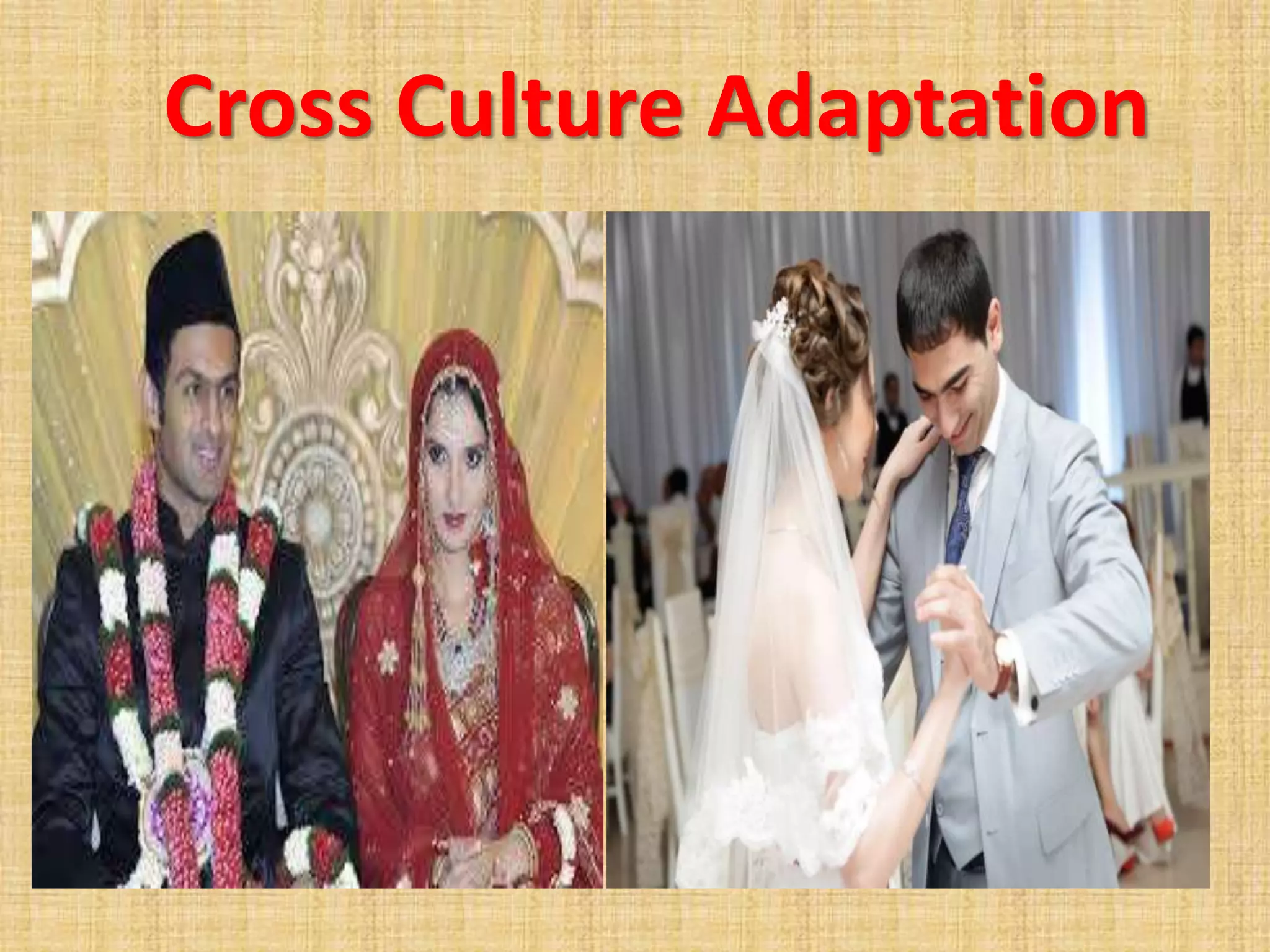 Cross Culture Adaptation