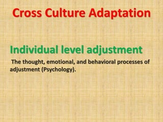 Cross culture Adaptation | PPTX