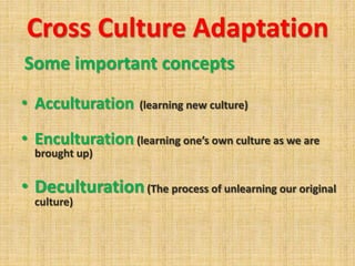 Cross culture Adaptation | PPTX