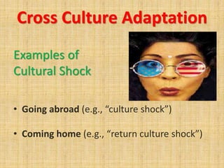 Cross culture Adaptation | PPTX