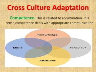 Cross culture Adaptation | PPTX