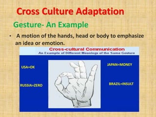 Cross culture Adaptation | PPTX