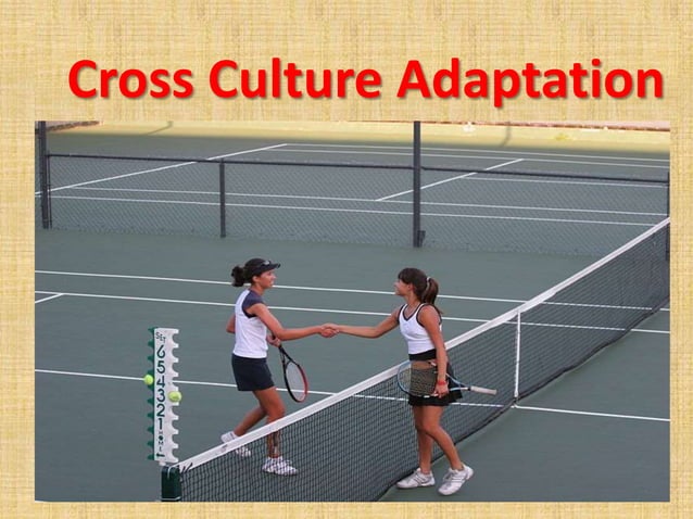 Cross culture Adaptation | PPTX | Travel Preparation and Advice | Travel
