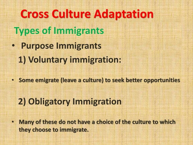 Cross culture Adaptation | PPTX | Travel Preparation and Advice | Travel