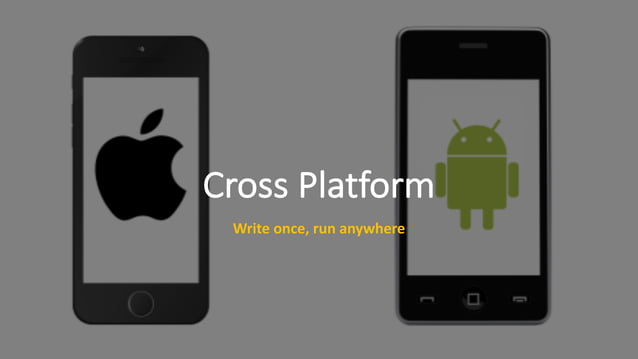 Cross platform | PDF