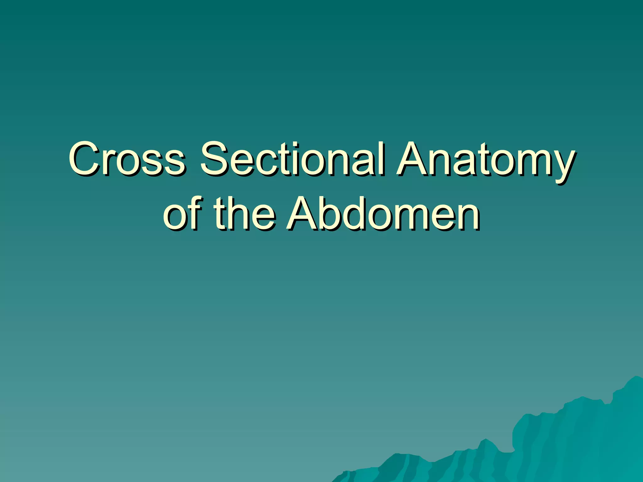 Cross Sectional Anatomy Of The Abdomen Annotated | PPT
