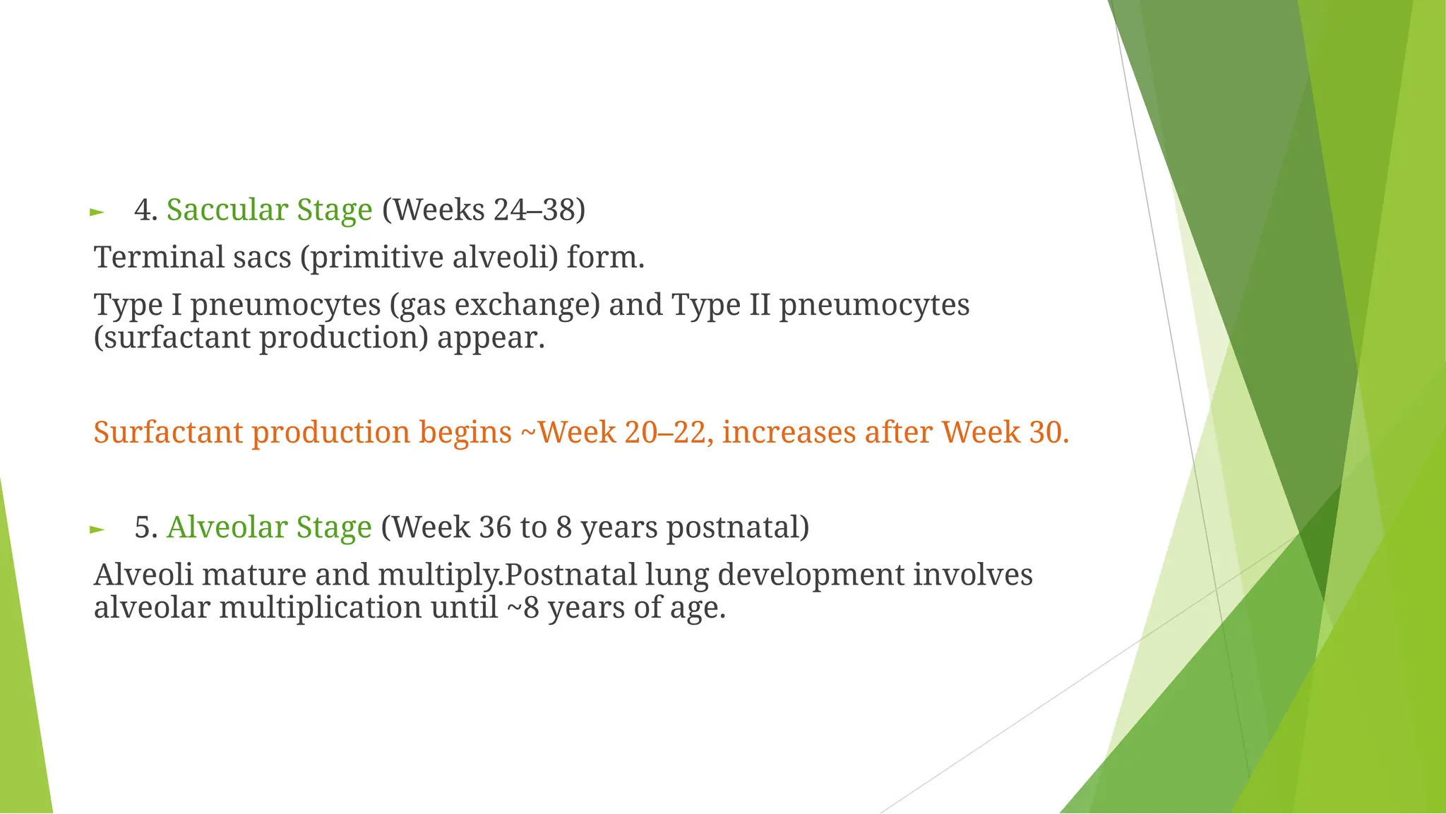 IMAGINFG OF CROSS-SECTIONAL ANATOMY OF LUNG.pdf