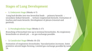 IMAGINFG OF CROSS-SECTIONAL ANATOMY OF LUNG.pdf
