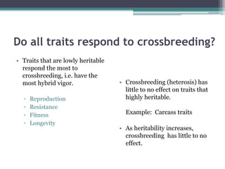 Crossbreeding with Katahdins | PPTX